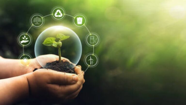 ¡Día Mundial de la Educación Ambiental!