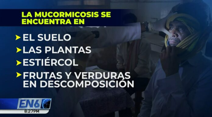 Hongo negro: qué es, síntomas y causas