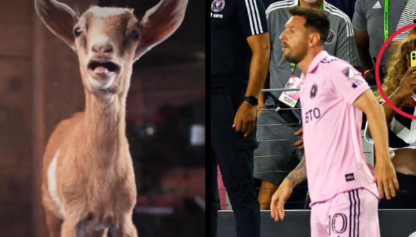 Hicieron la cara de Messi con cabras reales