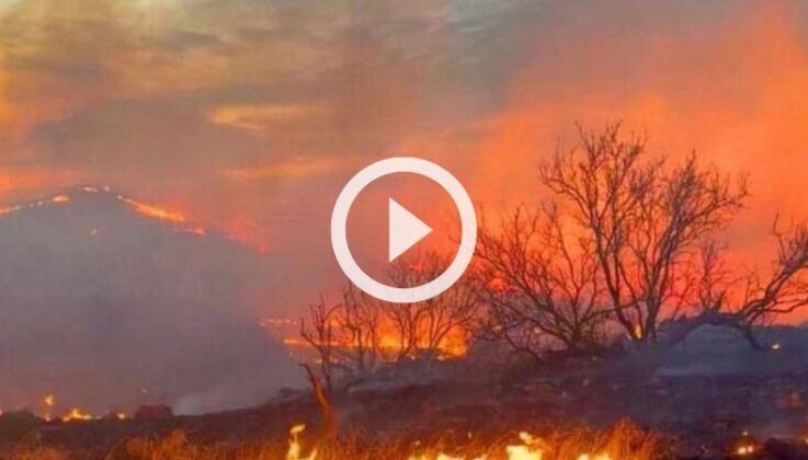 Fuertes incendios forestales afectan el norte de Texas