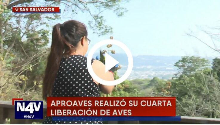 Liberación de aves en peligro de extinción