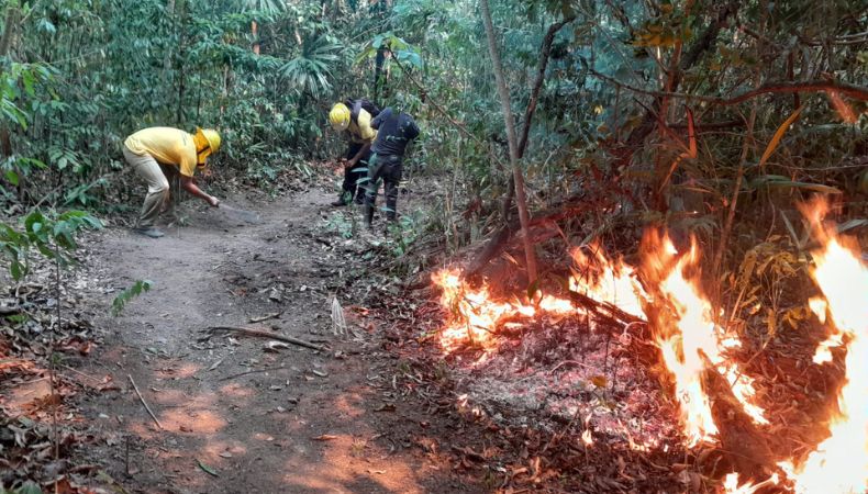 Guatemala registra 92 incendios forestales activos Guatemala registra 92 incendios forestales activos