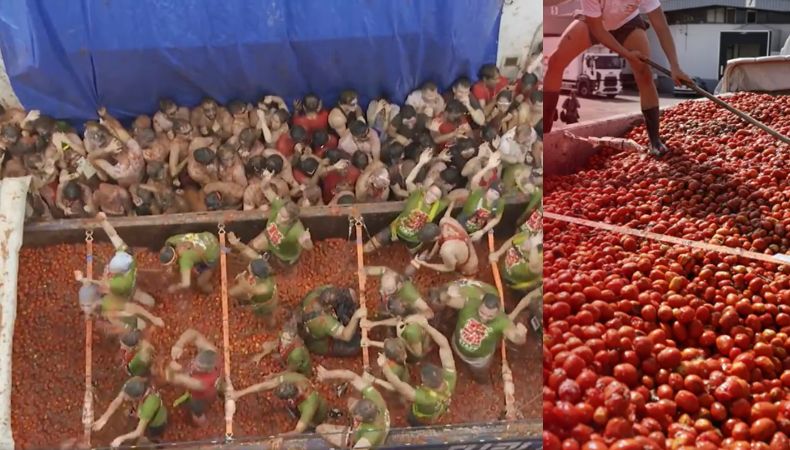Celebran festival "La Tomatina de Buñol" en Valencia, España