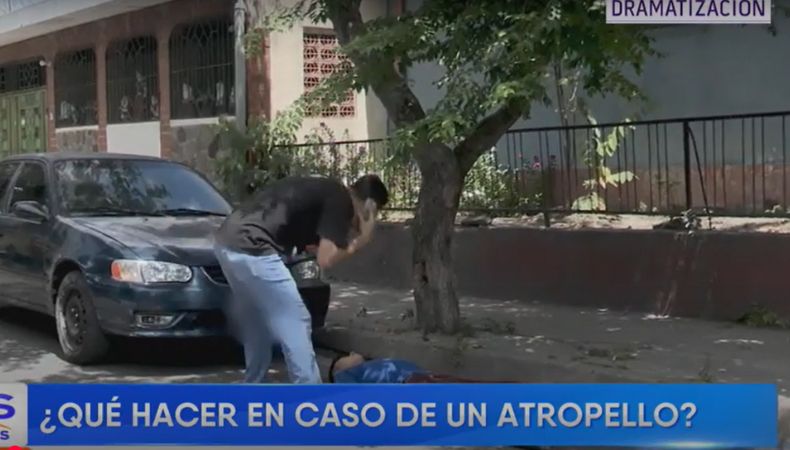 Cómo Deben Actuar Los Conductores En Caso De Un Atropello
